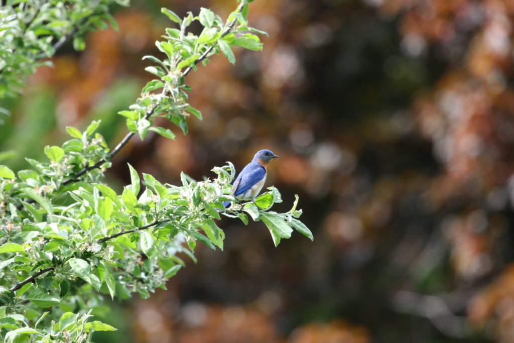 Portfolio | Litchfield Photography - Freelance Photographer in ...