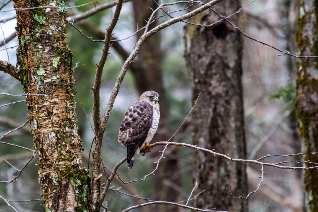 Portfolio | Litchfield Photography - Freelance Photographer in ...