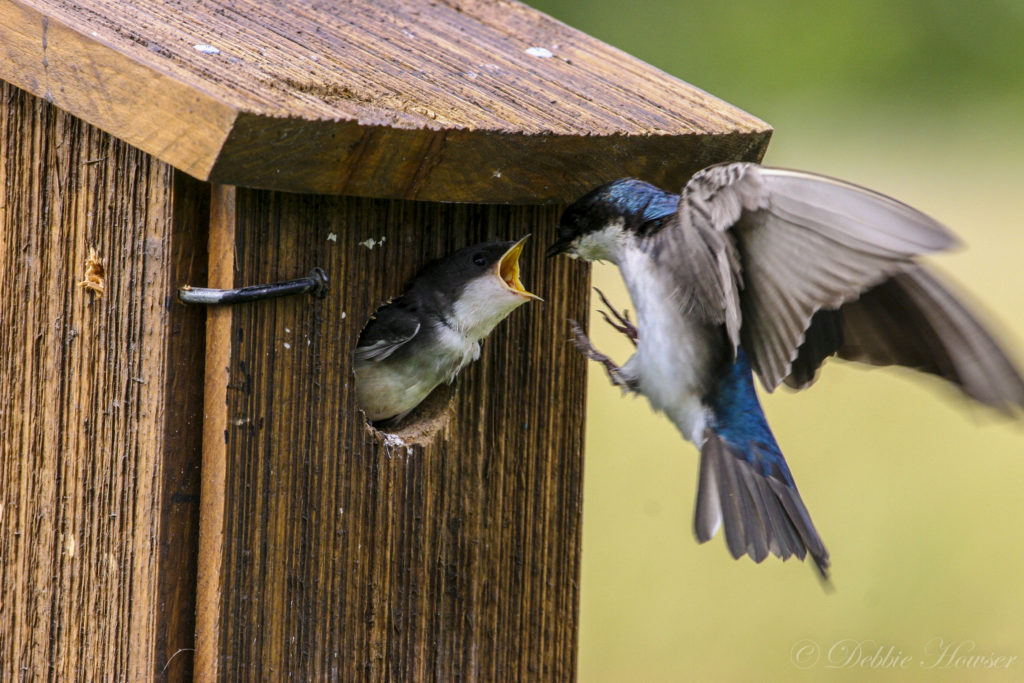 Portfolio | Litchfield Photography - Freelance Photographer in ...